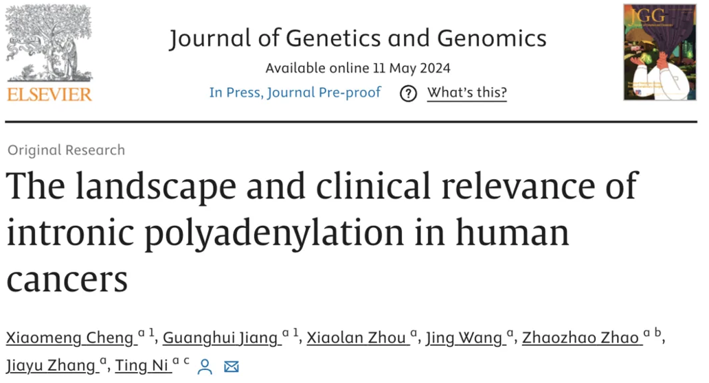 JGG｜复旦大学倪挺团队开发人类泛癌内含子多聚腺苷酸化数据库IPACancer Atlas-复旦大学-进化生物学研究中心